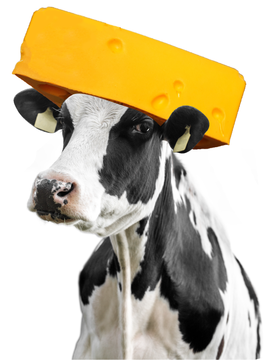 EpicShare | Ideas & Advice From the Epic Healthcare Community